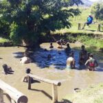 Half Day Nadi Sightseeing & Mud Pool Tour - Practical Tips for Travelers