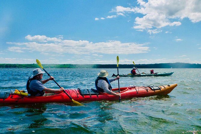 Half-Day Orleans Island Small-Group Sea Kayaking Tour - Practical Details & Tips for a Smooth Experience