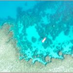 Half Day Outer Reef Snorkelling Tour from Port Douglas - The Itinerary: What to Expect