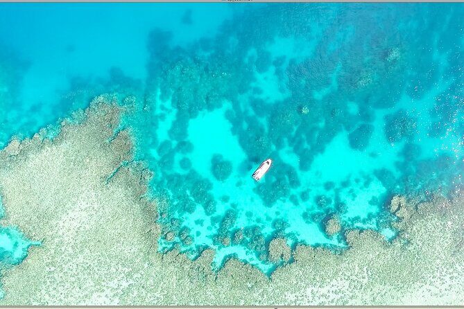 Half Day Outer Reef Snorkelling Tour from Port Douglas - The Itinerary: What to Expect