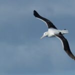 Half-Day Private City, Sights & Wildlife Tours - What Travelers Say