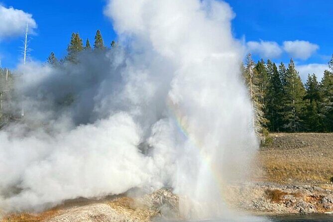 Half Day Private in Yellowstone Geyser Basin Tour - Exploring the Itinerary in Detail