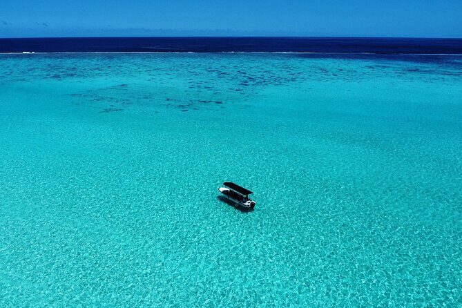 Half Day / Private Lagoon Adventure in Mo'orea - Itinerary Breakdown: What to Expect