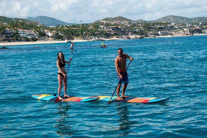 Half-Day Private Snorkel Sailing Adventure in Cabo San Lucas - The Value of the Tour