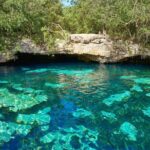 Half Day Private Snorkeling with Turtles and Majestic Cenotes - A Closer Look at What the Tour Offers
