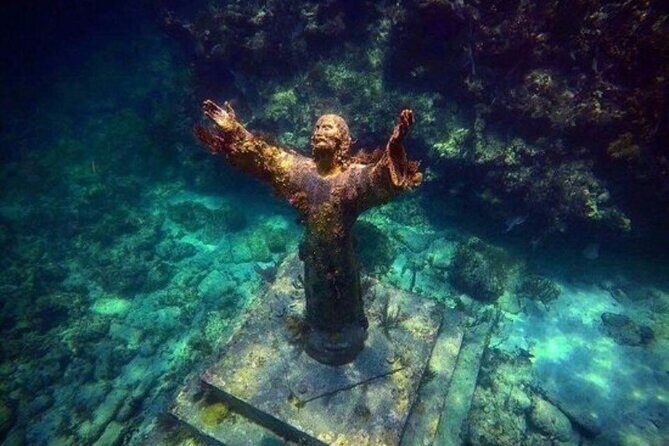 Half Day Private Tour to Islamorada Alligator Reef and Sandbar - Exploring the Itinerary in Detail