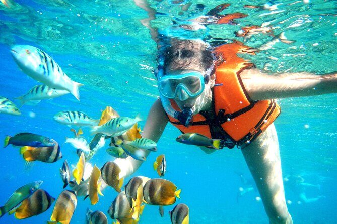 Half-Day Puerto Morelos Snorkeling Experience with Lunch - Why This Tour Is a Good Choice