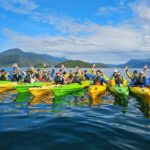Half day Sea Kayak Guided Tour from Picton - Final Thoughts