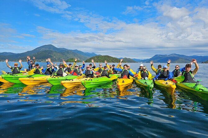 Half day Sea Kayak Guided Tour from Picton - Final Thoughts
