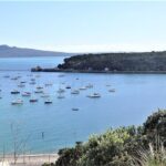 Half-Day: Small Group Auckland Scenic Tour - 4 HOURS - Limitations & Considerations