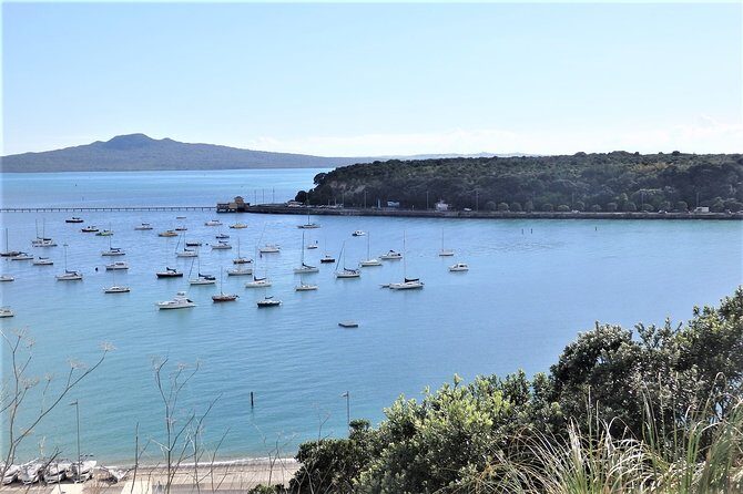 Half-Day: Small Group Auckland Scenic Tour - 4 HOURS - Limitations & Considerations
