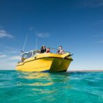 Half Day Snorkel 2.5hr Turtle Tour on the Ningaloo Reef, Exmouth - The Value of the Tour