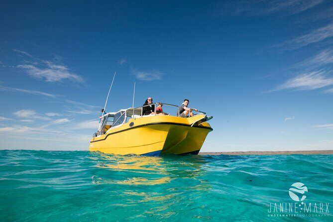 Half Day Snorkel 2.5hr Turtle Tour on the Ningaloo Reef, Exmouth - The Value of the Tour