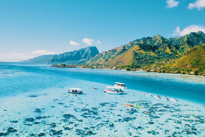 Half Day Snorkeling in Moorea - The Itinerary and What Makes It Special
