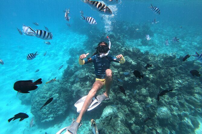 Half-Day Snorkeling Tour in Tahiti - Who Should Book This Tour?