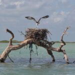 Half-Day Tour Discovering Sian Ka´an with Lunch - Authentic Experiences from Reviews