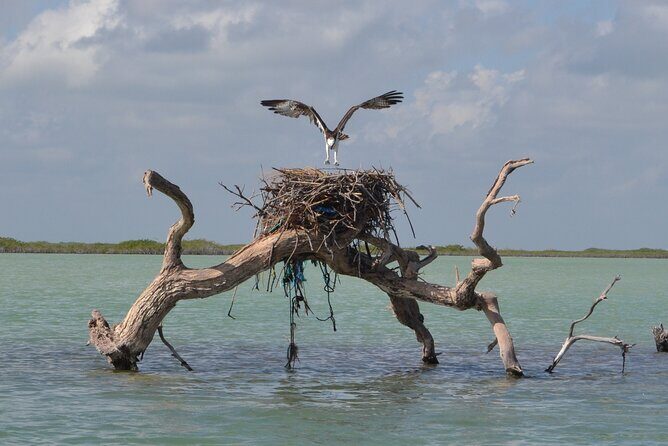 Half-Day Tour Discovering Sian Ka´an with Lunch - Authentic Experiences from Reviews