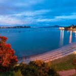 Half Day Tour EAST AUCKLAND Explorer and Scenic Ferry Return - What Travelers Can Expect