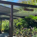 Half Day Tour in Nadi - Who Is This Tour Best For?