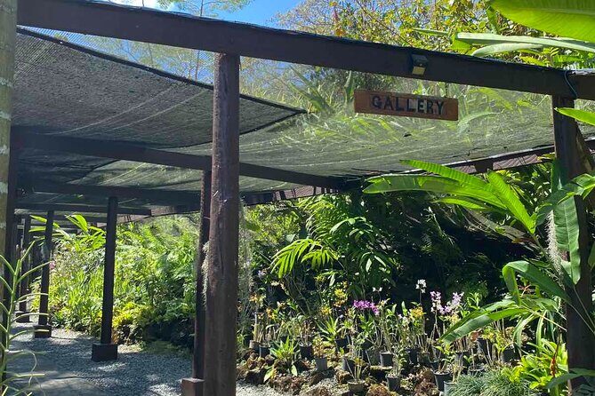 Half Day Tour in Nadi - Who Is This Tour Best For?