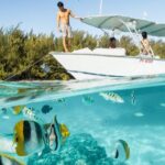 Half Day Tour lagoon discovery marine fauna flora small group - Who Will Love This Tour?