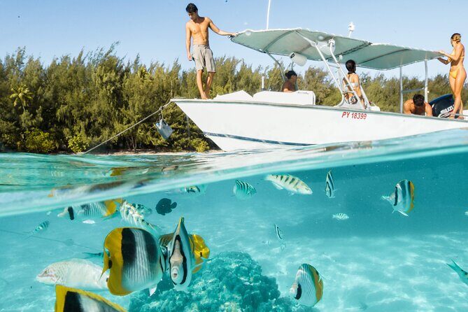 Half Day Tour lagoon discovery marine fauna flora small group - Who Will Love This Tour?