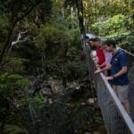 Half Day Tour to Daintree Rainforest and Mossman Gorge - Practical Considerations and Tips