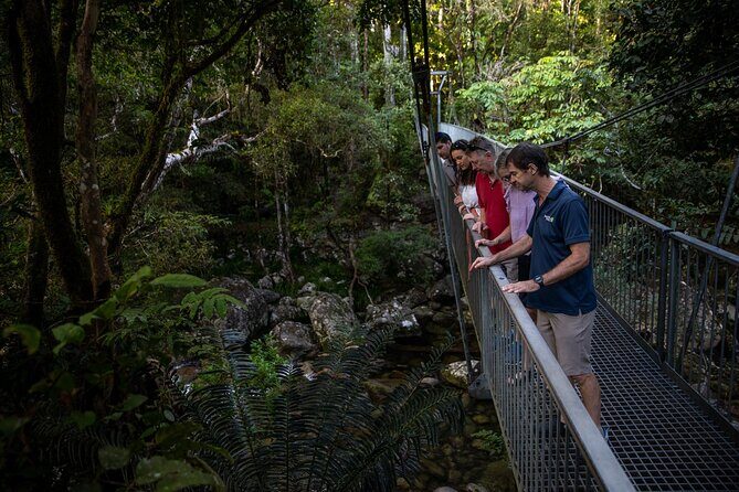 Half Day Tour to Daintree Rainforest and Mossman Gorge - Practical Considerations and Tips