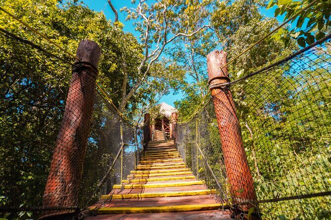 Half Day tour Zipline + Rappel + Cenote from Riviera Maya hotels - An In-Depth Look at the Experience