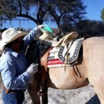 Half Day Trail Riding in San Miguel de Allende - Authentic Ranch Lunch: The Perfect Ending