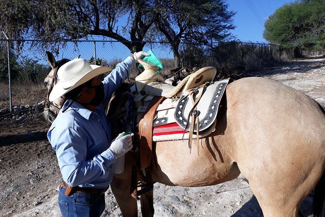 Half Day Trail Riding in San Miguel de Allende - Authentic Ranch Lunch: The Perfect Ending