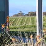 Half day Wine and Sights Discovery Tour Busselton - An In-Depth Look at the Tour