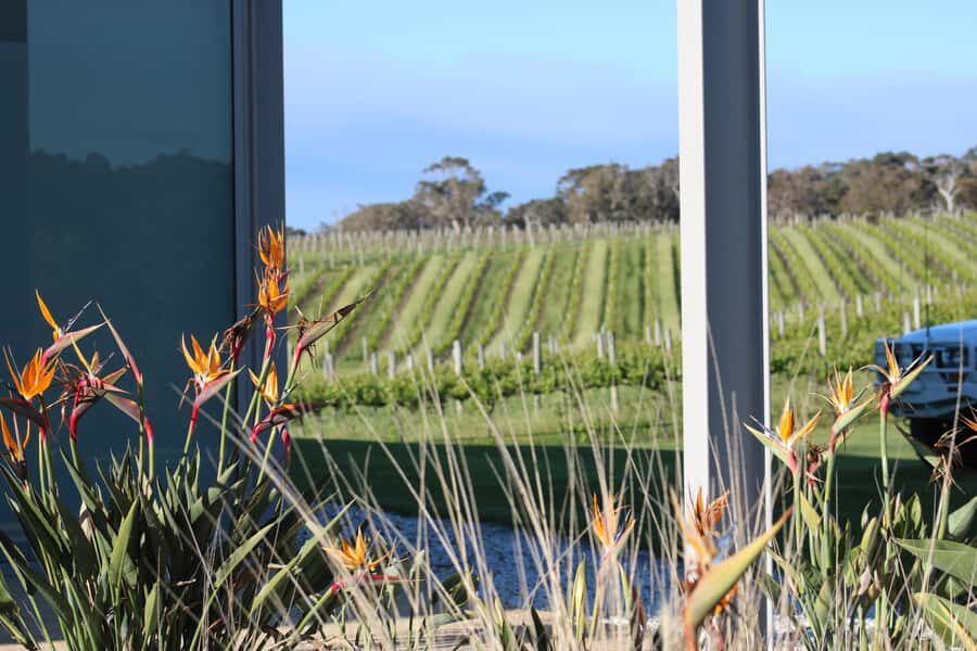 Half day Wine and Sights Discovery Tour Busselton - An In-Depth Look at the Tour