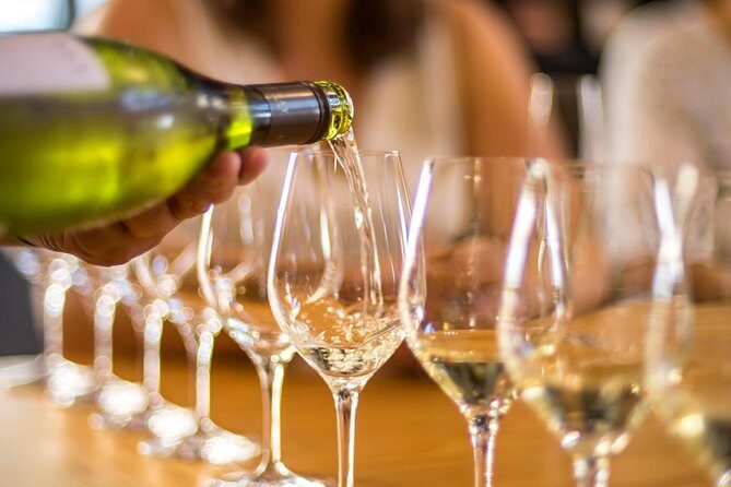 Half-Day Wine Tour from Blenheim - Who Will Love This Tour?