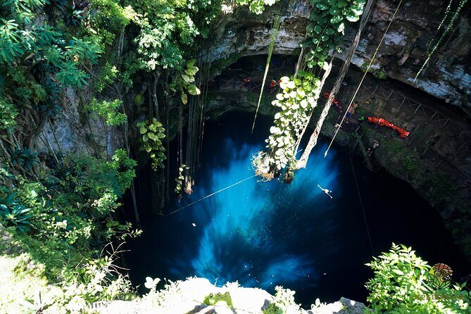 Half-Day Yucatan's Instagram Cenotes PRIVATE TOUR - Practical Details and What to Expect