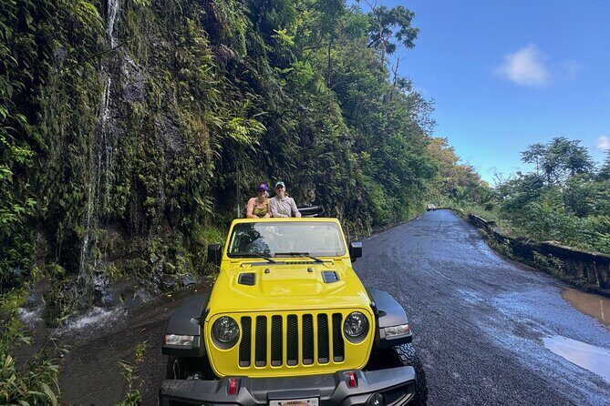 Half way to Hana Maui Open Air Jeep Private Tour - First Stop: Hookipa Beach Park