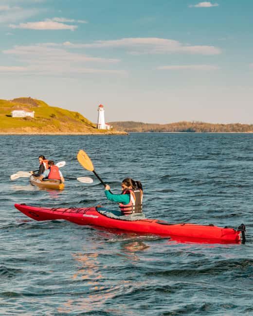 Halifax: Georges Island Kayak Tour - A Closer Look at the Kayak Tour