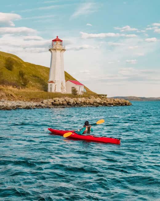 Halifax: Guided Kayak Tour with Multiple Options - Key Points