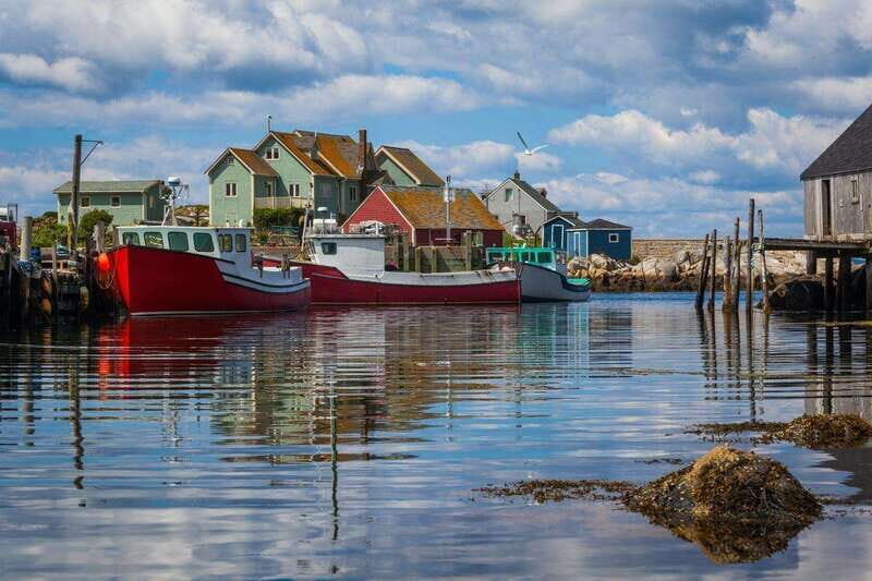 Halifax: Peggy's Cove Small Group Night Tour with Dinner - Practical Tips for the Tour