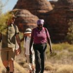 Halls Creek to Bungles: Fly /Drive + Aboriginal local guides - Scenic Flight into the Heart of the Kimberley