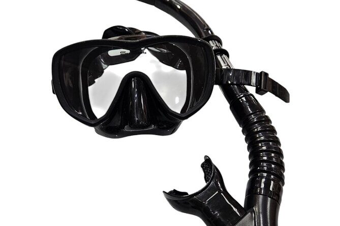 Hanauma Bay Experience with Admission Ticket and Equipment - Why This Tour Offers Great Value