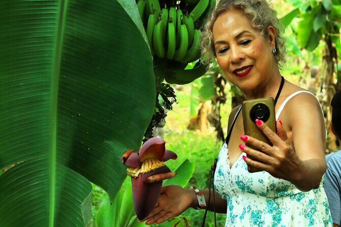 Hands-on Mexican Farm Experience: from Cow to Cheese - The Journey to the Mexican Countryside