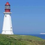 Harbor Highlights: Sydney City Tour - Analyzing the Cost and Value