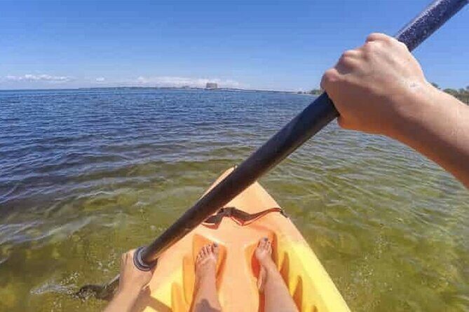 Harbor Kayak Rental in Destin, Florida - Practical Details and Considerations