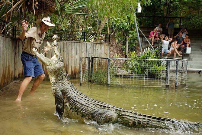 Hartleys Crocodile Adventures Half-Day Tour from Cairns - Authentic Guest Perspectives