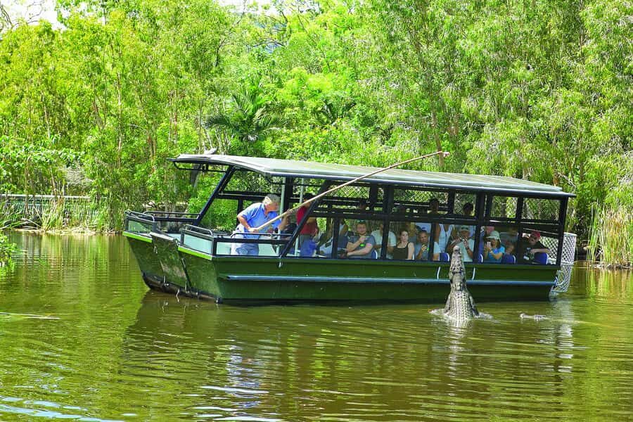 Hartley's Crocodile Adventures Park Entry - The Boat Tour: Crocs in Their Element
