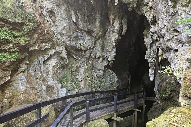 Haruru Waterfalls and Glow Worm Caves Tour - Why This Tour Offers Great Value