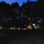 Haunt Hunt Walking Tour in Toronto - Practical Details and What You Should Know