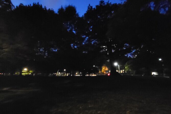 Haunt Hunt Walking Tour in Toronto - Practical Details and What You Should Know