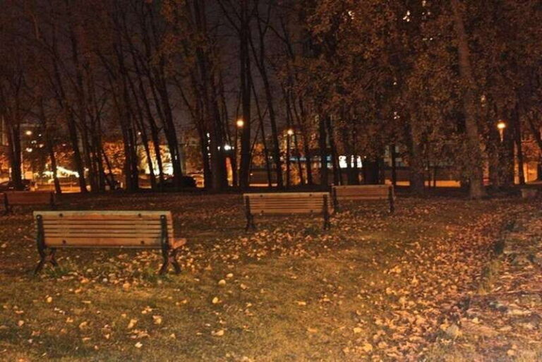 Haunted Griffintown Ghost Walking Tour - What to Expect on the Haunted Griffintown Ghost Walk